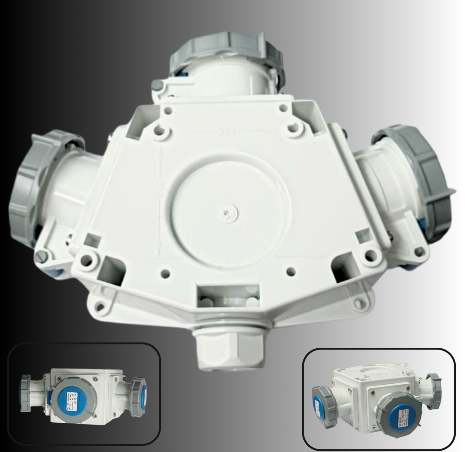 PULPO DELTABOX 16A 2P+T 6H TOMA TRIPLE IP67 TAILEC - Loganelectric